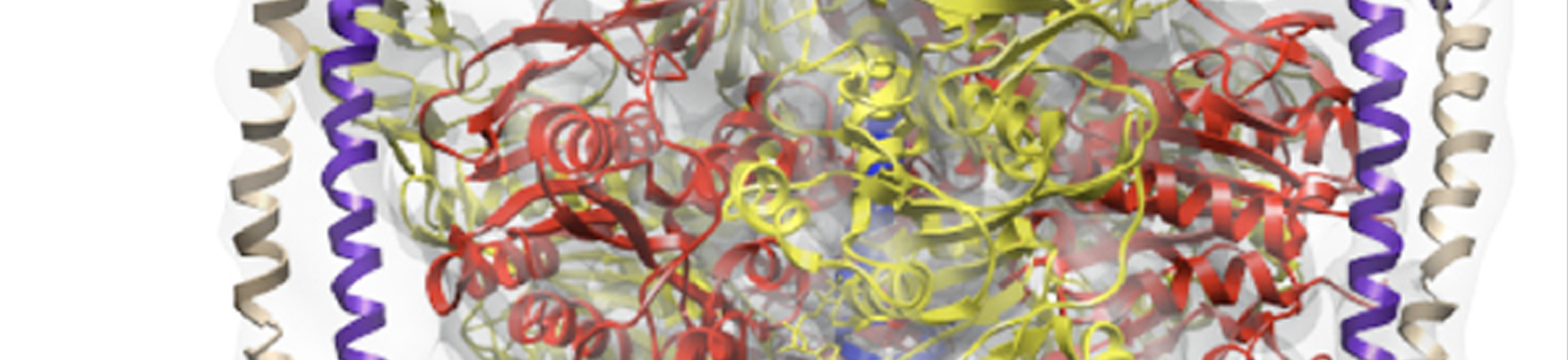 Structural Biology | Medical Biophysics